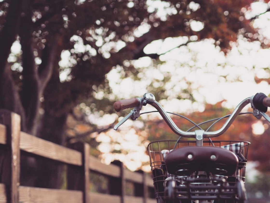 11 Reasons Why Autumn Is My Favourite Season