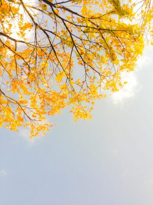 11 Reasons Why Autumn Is My Favourite Season